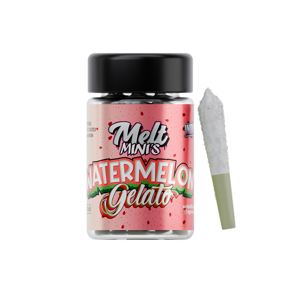What Does Chiefing Mean? Cannabis Slang Explained | Melt – Melt Official